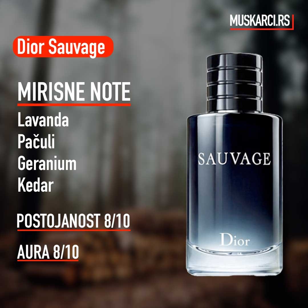 Top 5: Ovo su najbolji muški parfemi za leto